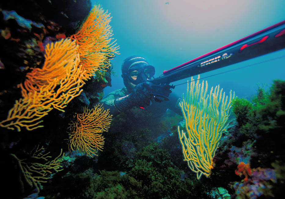 Playbac Presse Digital: journaux jeunesse Le Petit Quotidien, Mon ...