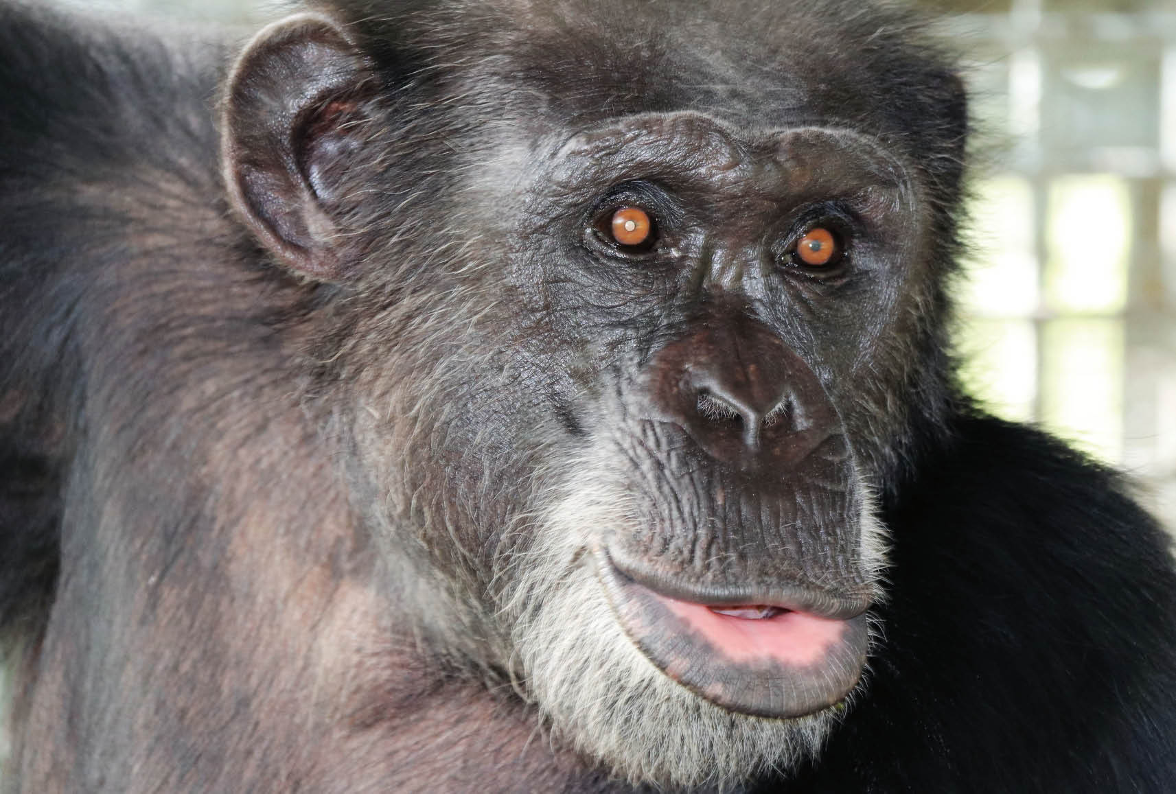 Playbac Presse Digital: journaux jeunesse Le Petit Quotidien, Mon ...