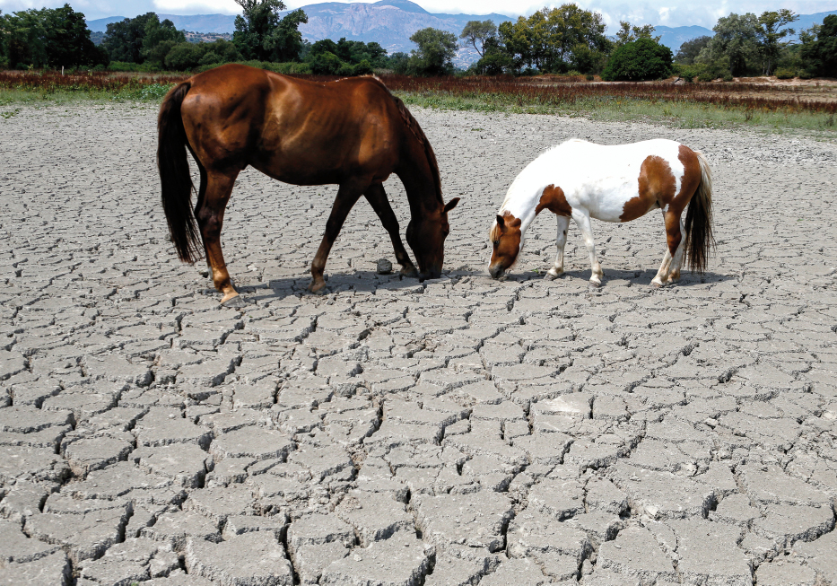 Playbac Presse Digital: journaux jeunesse Le Petit Quotidien, Mon ...