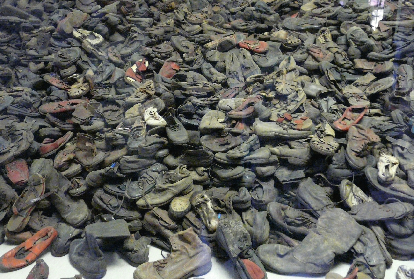 Playbac Presse Digital Journaux Jeunesse Le Petit Quotidien Mon