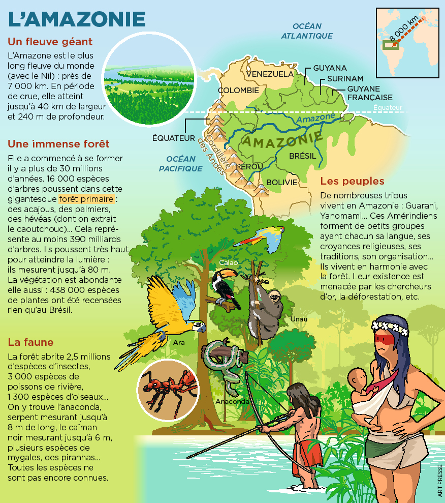 Playbac Presse Digital: journaux jeunesse Le Petit Quotidien, Mon ...