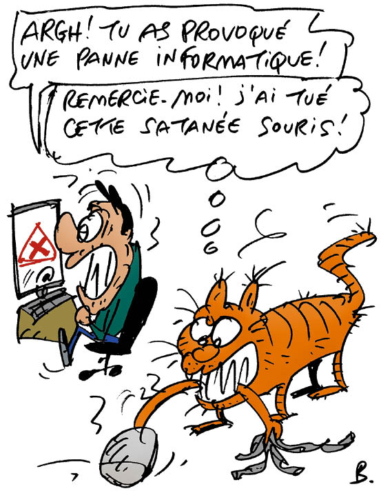 Playbac Presse Digital: journaux jeunesse Le Petit Quotidien, Mon ...