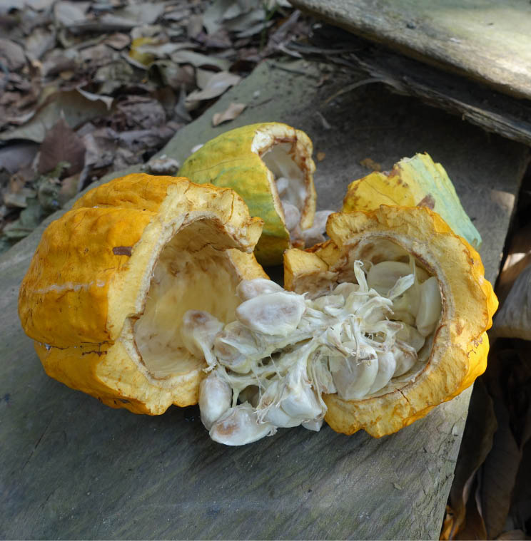 Playbac Presse Digital: journaux jeunesse Le Petit Quotidien, Mon ...