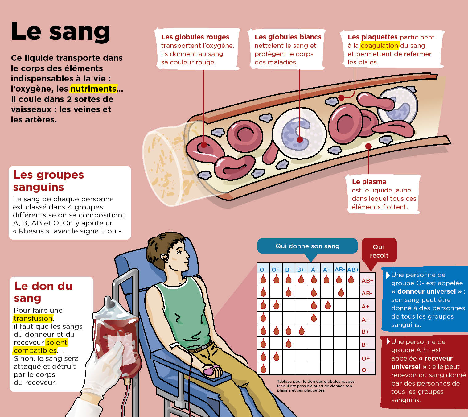 Playbac Presse Digital: journaux jeunesse Le Petit Quotidien, Mon ...