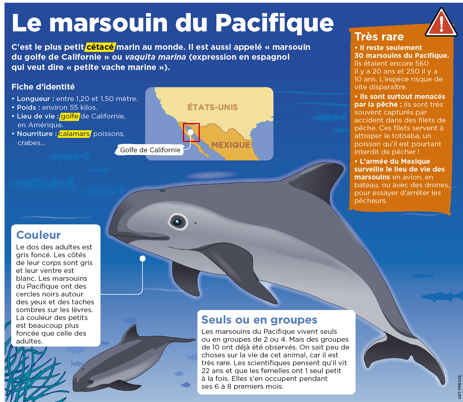 Playbac Presse Digital: journaux jeunesse Le Petit Quotidien, Mon ...