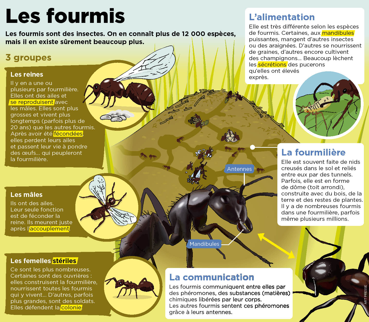 Playbac Presse Digital: journaux jeunesse Le Petit Quotidien, Mon ...