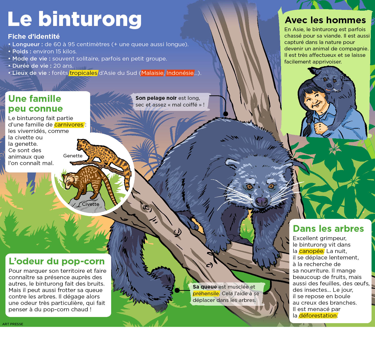 Playbac Presse Digital: journaux jeunesse Le Petit Quotidien, Mon ... Playbac Presse Digital: journaux jeunesse Le Petit Quotidien, Mon ...