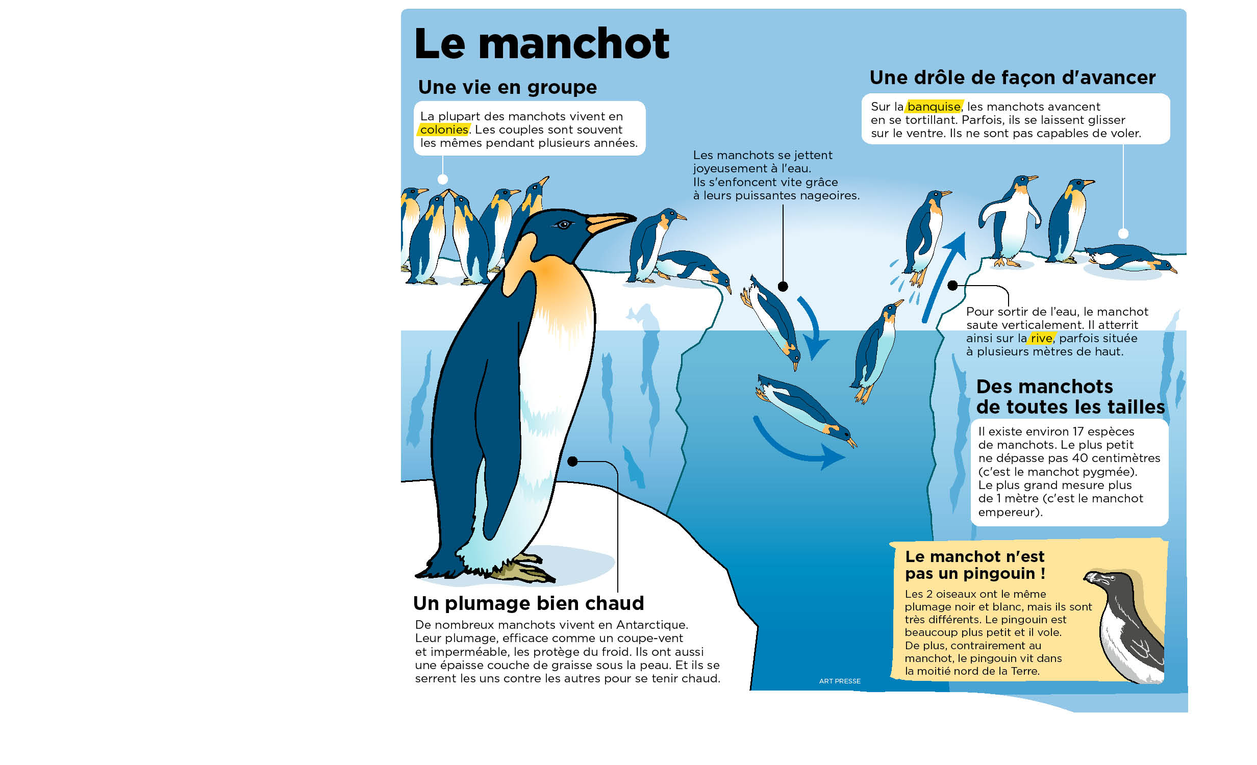 Playbac Presse Digital: journaux jeunesse Le Petit Quotidien, Mon ...