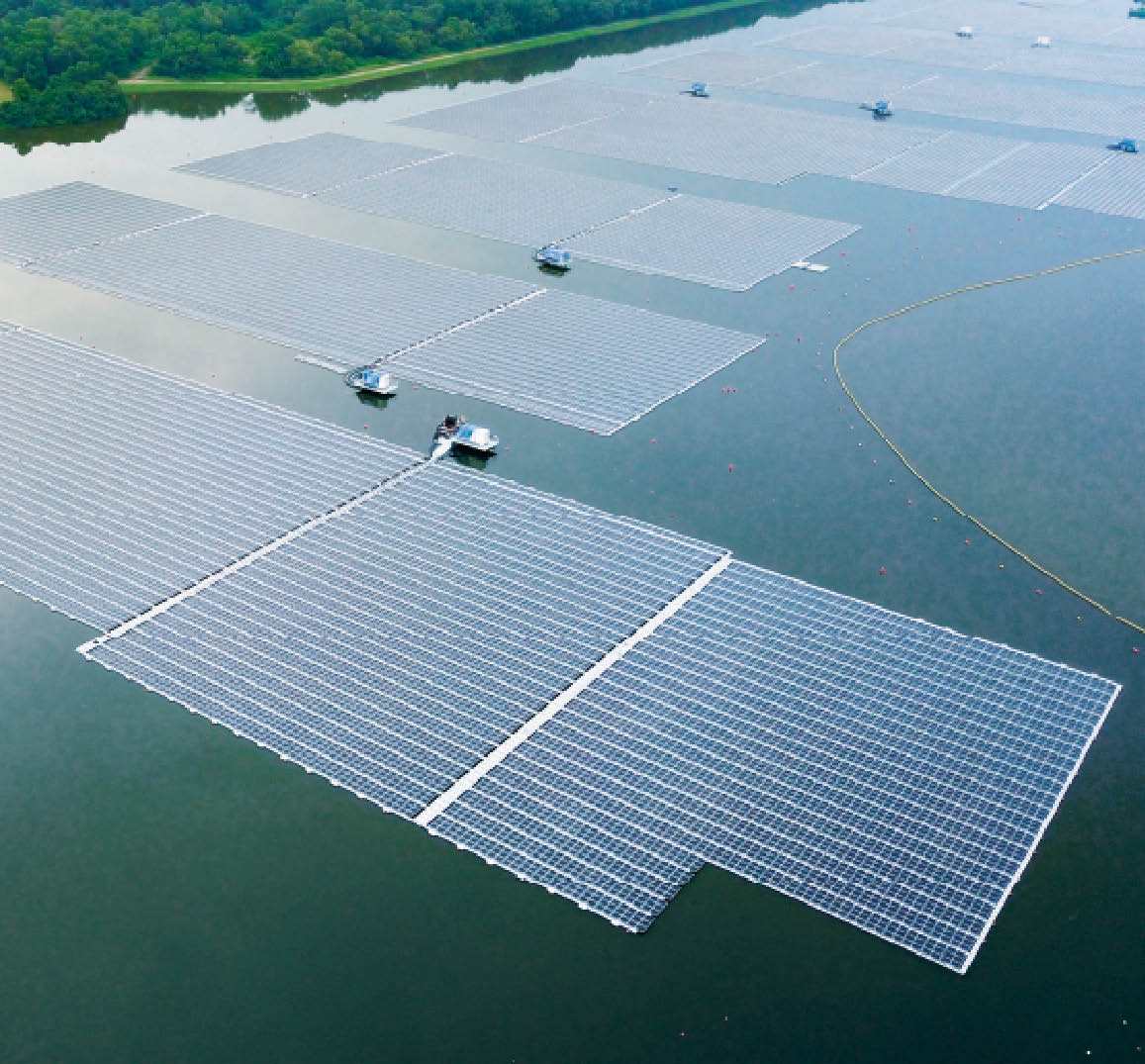 Playbac Presse Digital: journaux jeunesse Le Petit Quotidien, Mon ...