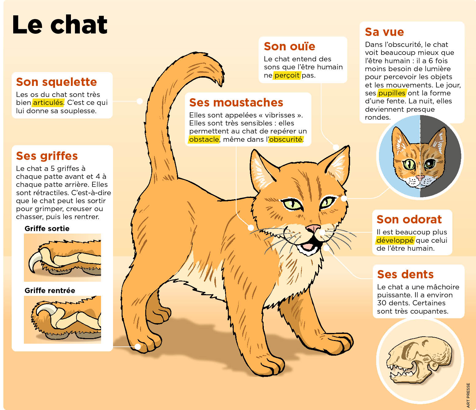 Playbac Presse Digital: journaux jeunesse Le Petit Quotidien, Mon ...