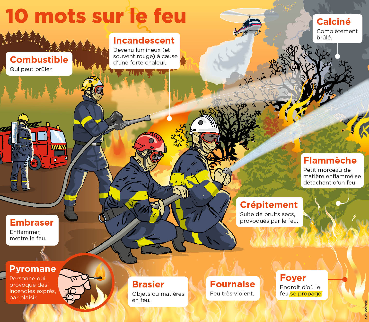 Playbac Presse Digital: journaux jeunesse Le Petit Quotidien, Mon ...