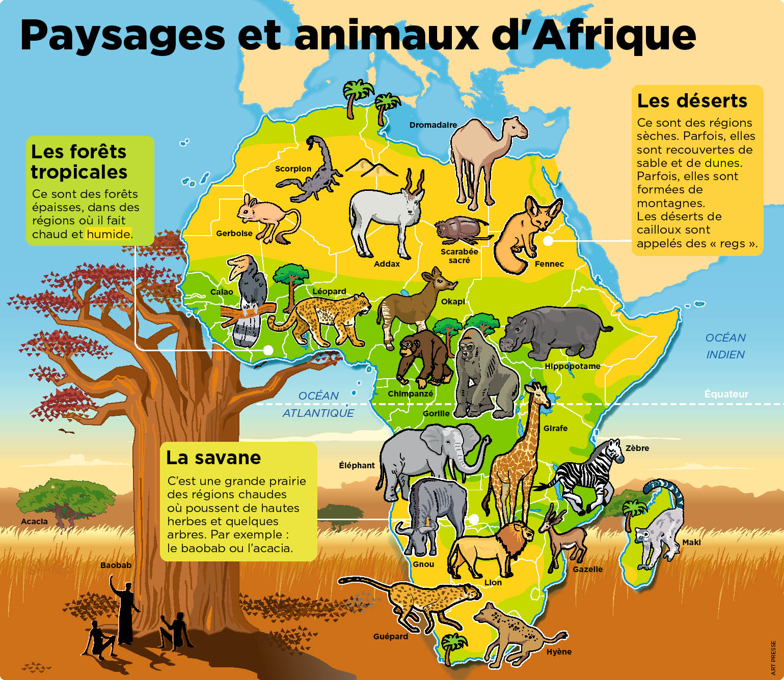 Playbac Presse Digital: journaux jeunesse Le Petit Quotidien, Mon ...