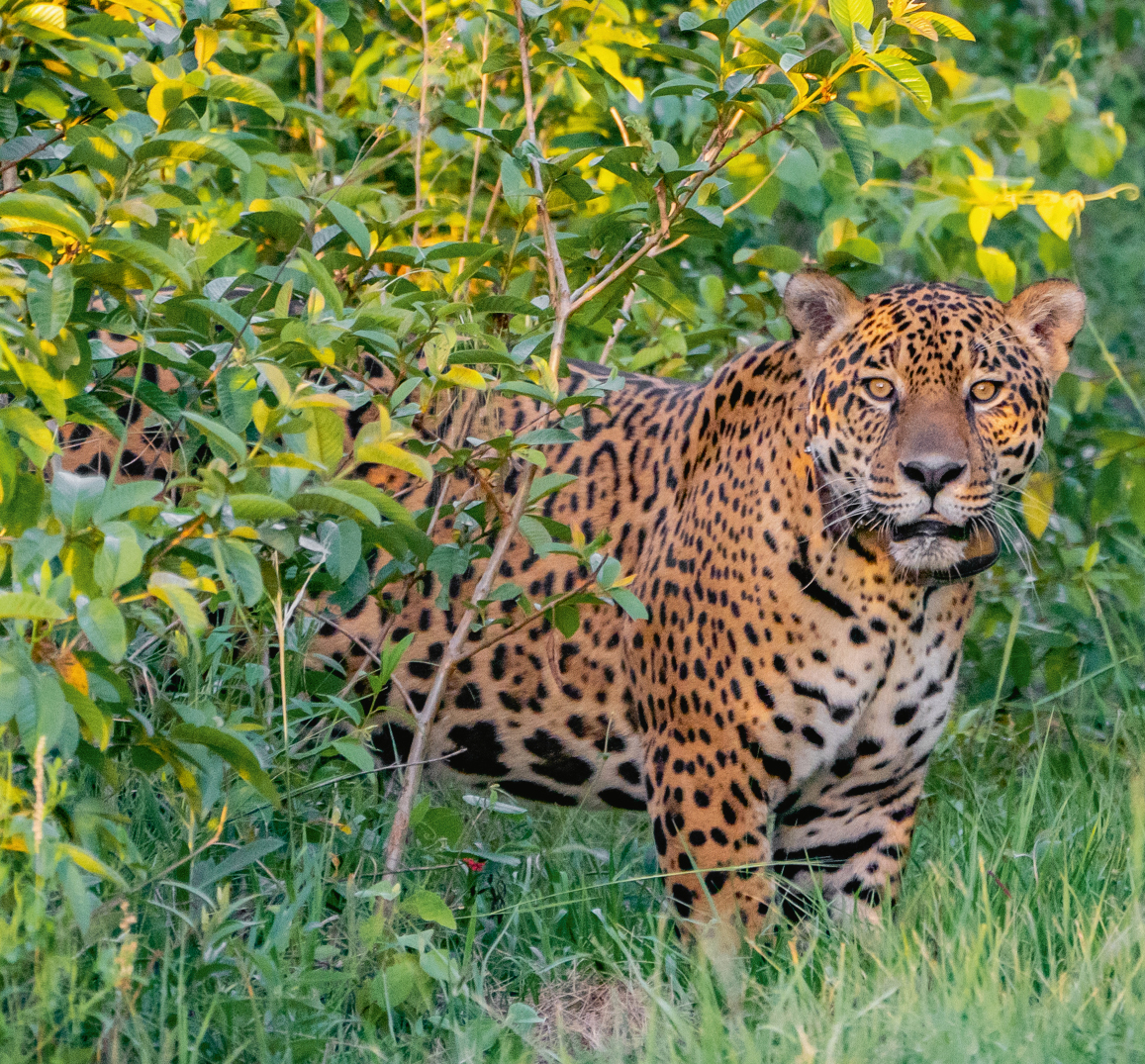 Playbac Presse Digital: journaux jeunesse Le Petit Quotidien, Mon ...