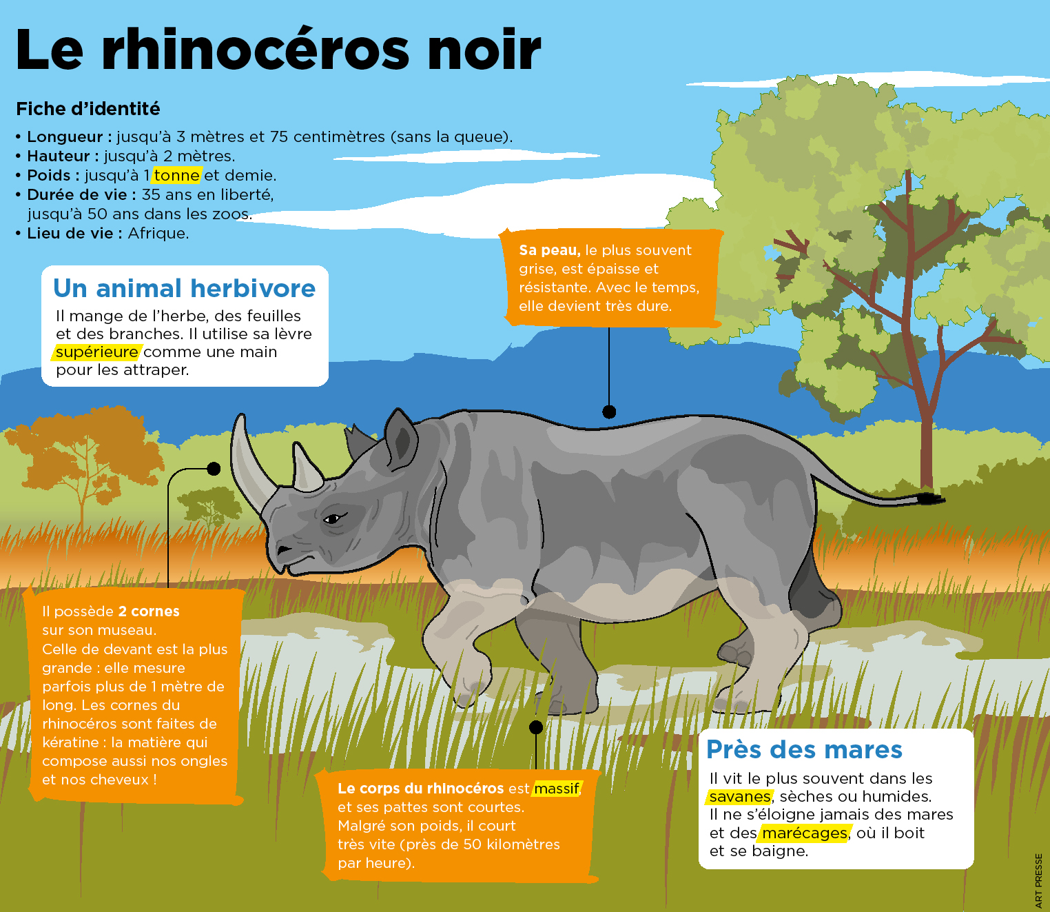 Playbac Presse Digital: journaux jeunesse Le Petit Quotidien, Mon ...