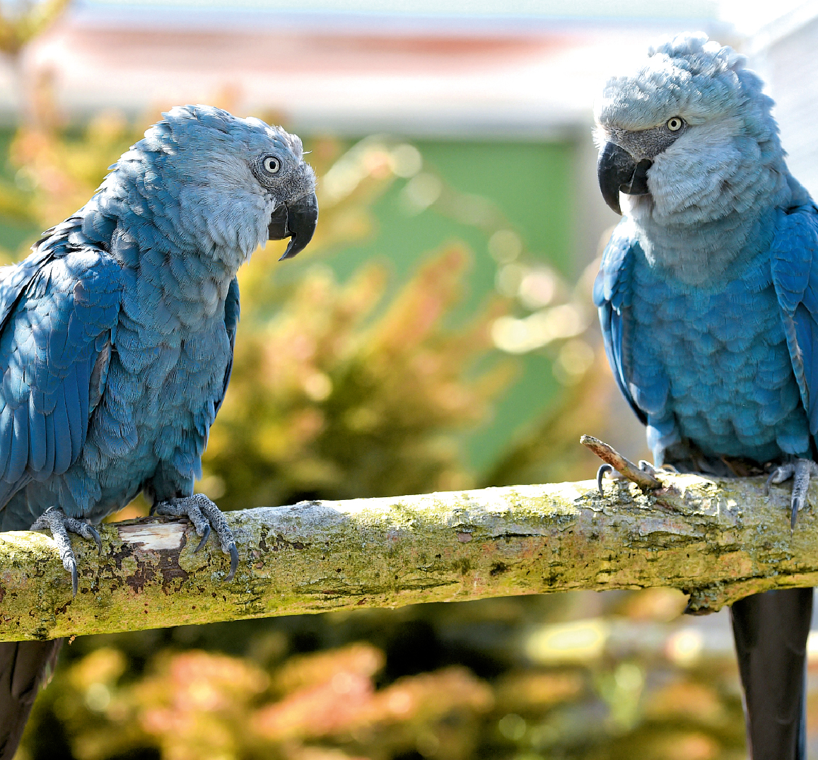 Playbac Presse Digital: journaux jeunesse Le Petit Quotidien, Mon ...