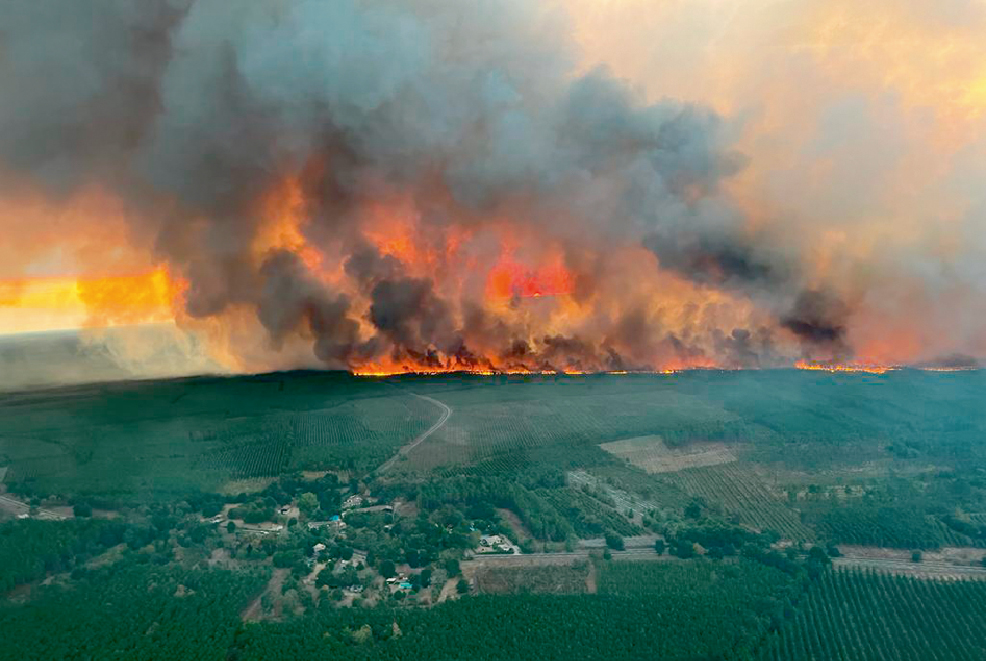 Playbac Presse Digital: journaux jeunesse Le Petit Quotidien, Mon ...