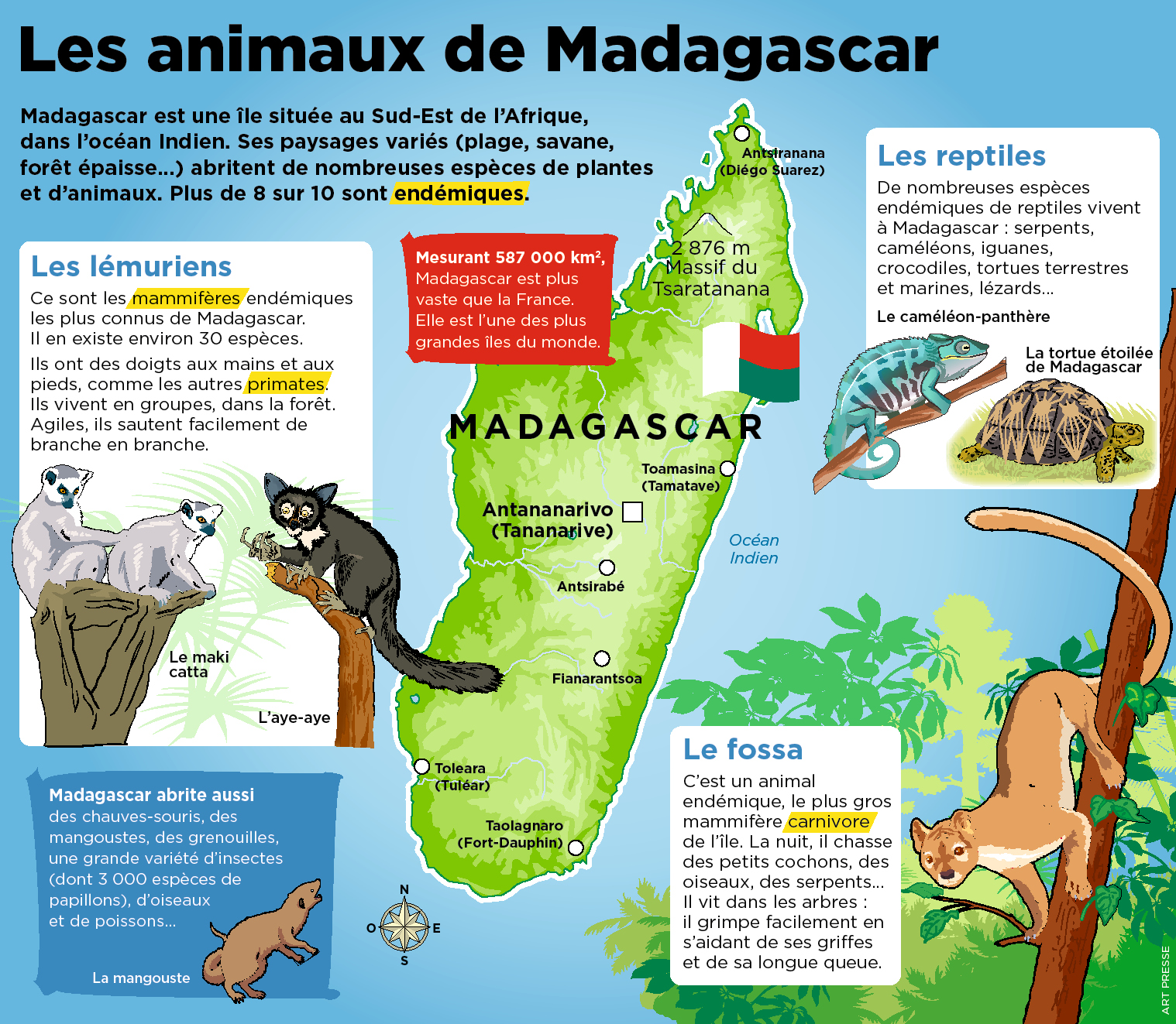 Playbac Presse Digital: journaux jeunesse Le Petit Quotidien, Mon ...