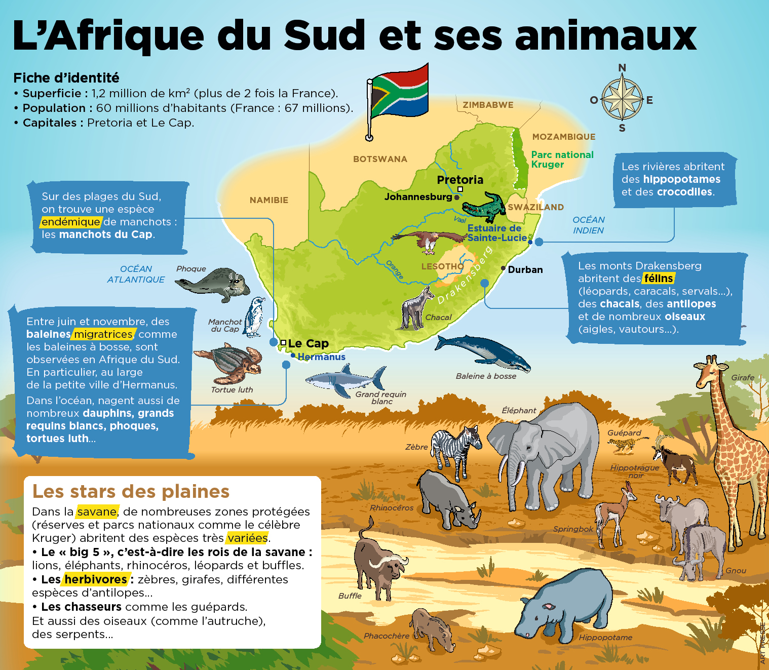 Playbac Presse Digital: journaux jeunesse Le Petit Quotidien, Mon ...