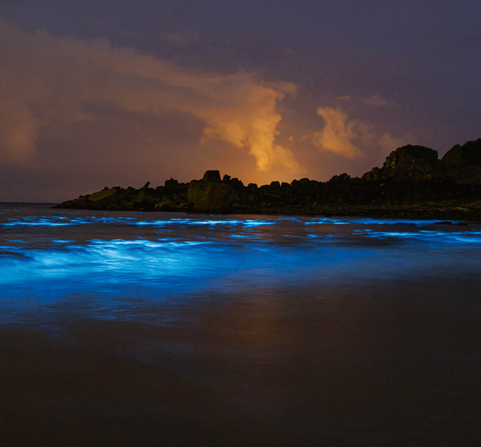 Playbac Presse Digital: journaux jeunesse Le Petit Quotidien, Mon ...