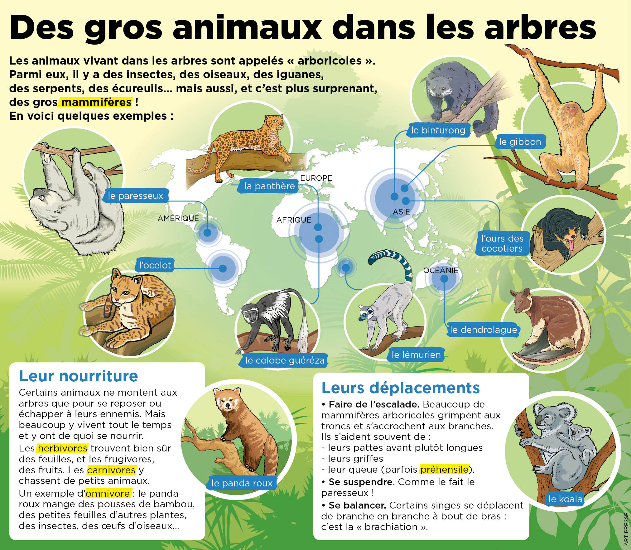 Playbac Presse Digital: journaux jeunesse Le Petit Quotidien, Mon ...