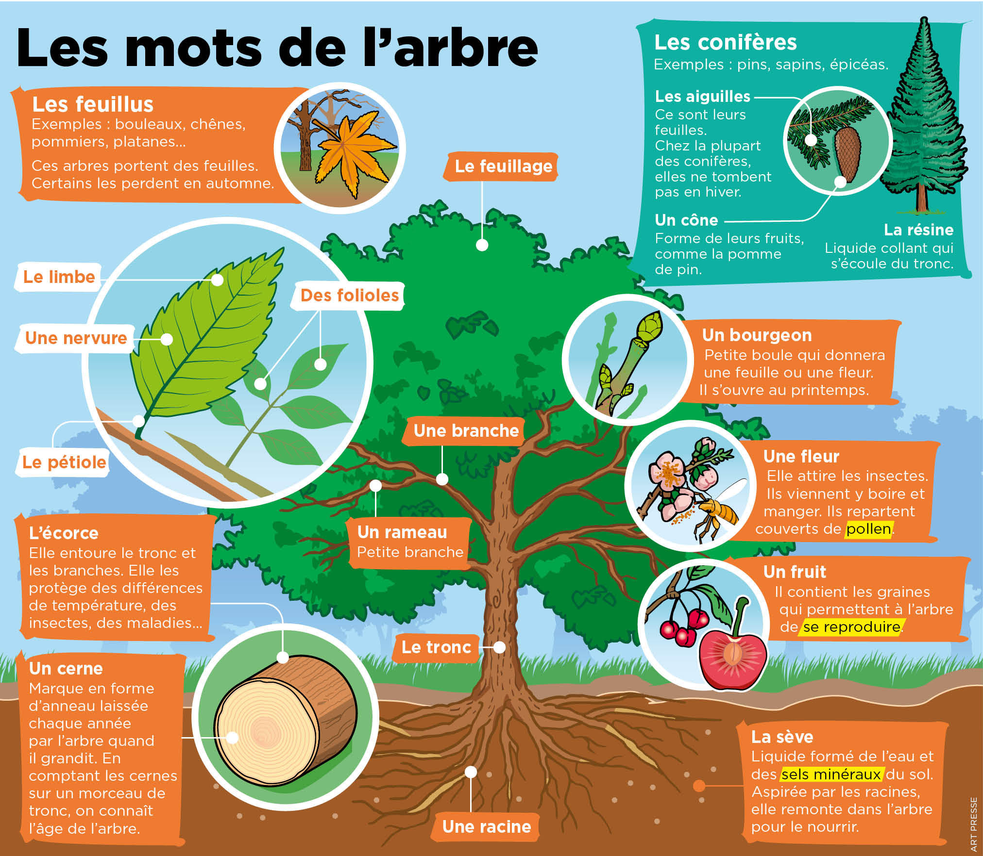 Playbac Presse Digital: journaux jeunesse Le Petit Quotidien, Mon ...