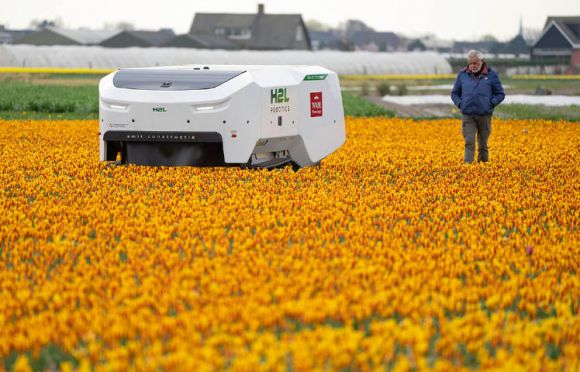 Playbac Presse Digital: journaux jeunesse Le Petit Quotidien, Mon ...