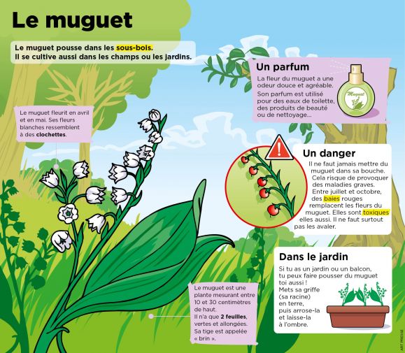 Playbac Presse Digital: journaux jeunesse Le Petit Quotidien, Mon ...