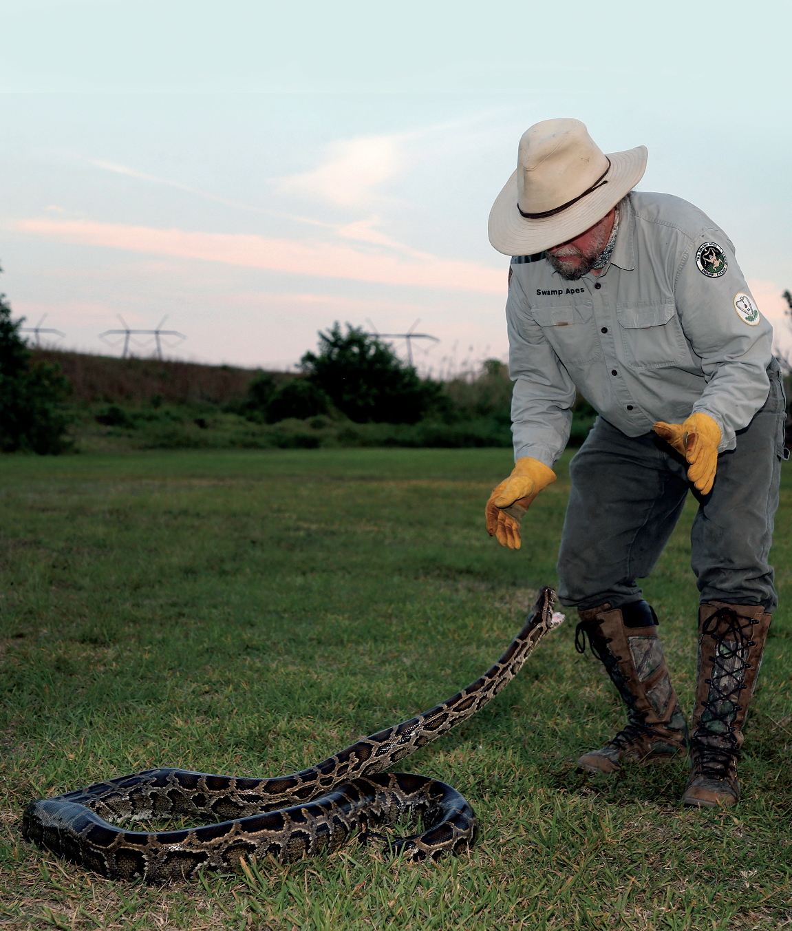 Playbac Presse Digital: journaux jeunesse Le Petit Quotidien, Mon ...