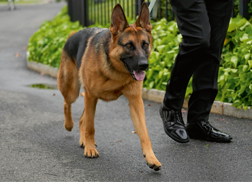 Playbac Presse Digital: journaux jeunesse Le Petit Quotidien, Mon ...