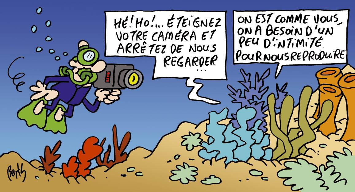 Playbac Presse Digital: journaux jeunesse Le Petit Quotidien, Mon ...