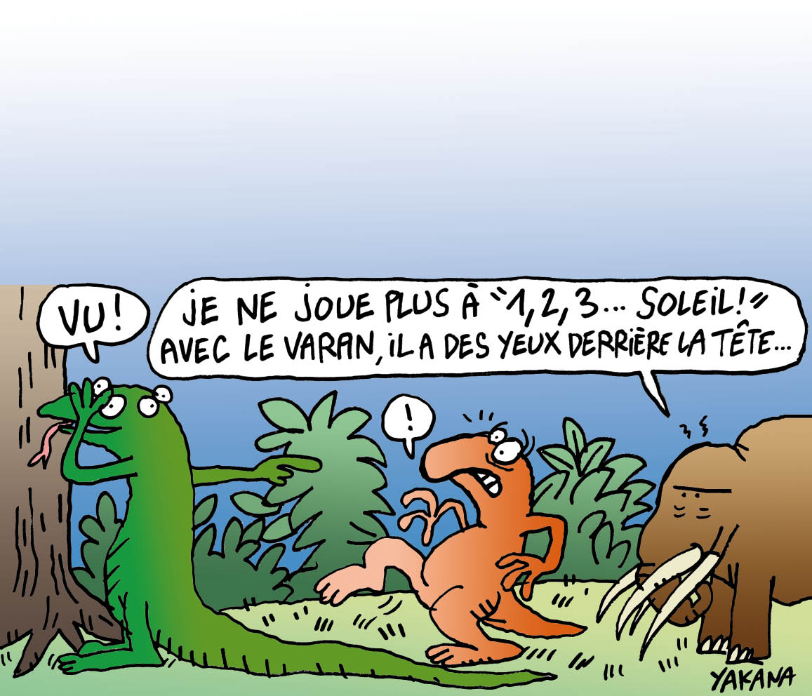 Playbac Presse Digital: journaux jeunesse Le Petit Quotidien, Mon ...