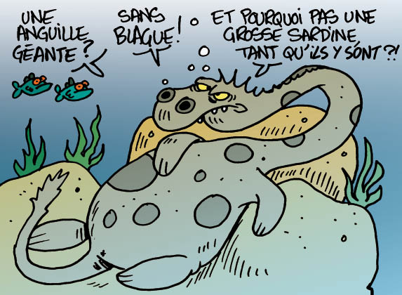 Playbac Presse Digital: journaux jeunesse Le Petit Quotidien, Mon ...