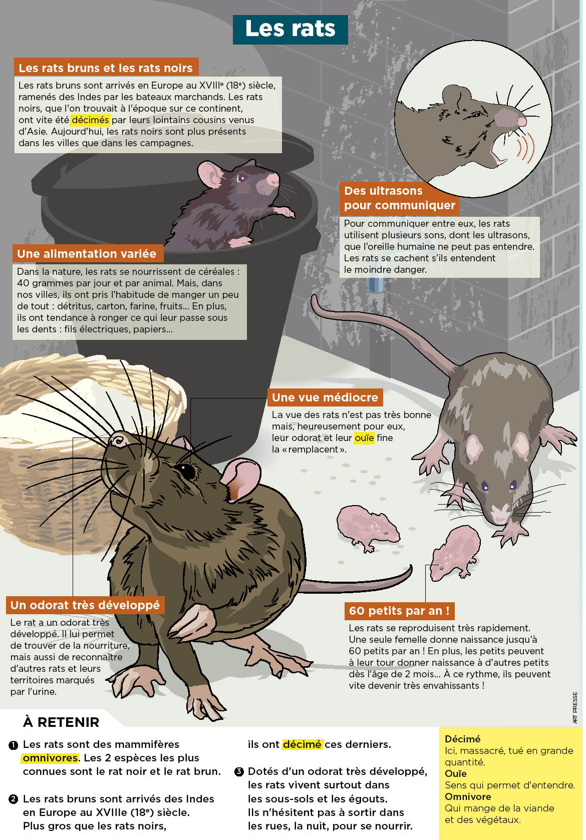 Playbac Presse Digital: journaux jeunesse Le Petit Quotidien, Mon ...