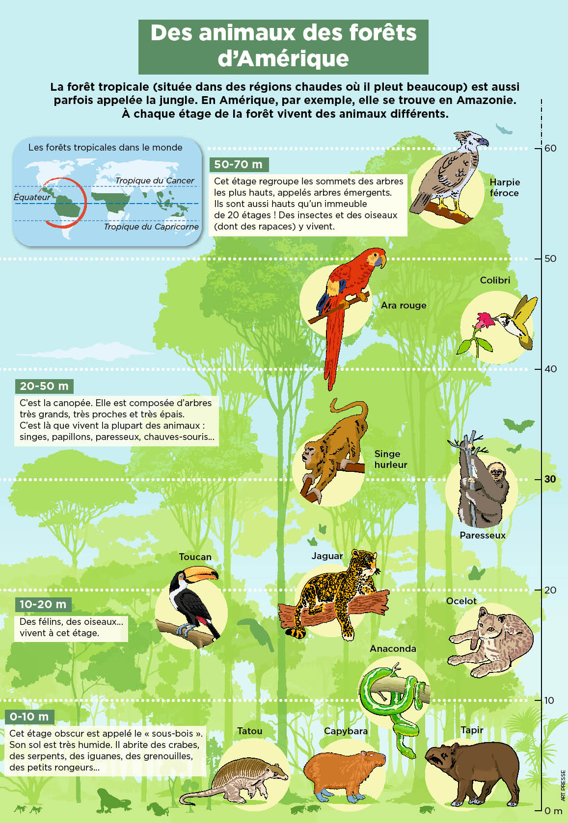 Playbac Presse Digital: journaux jeunesse Le Petit Quotidien, Mon ...