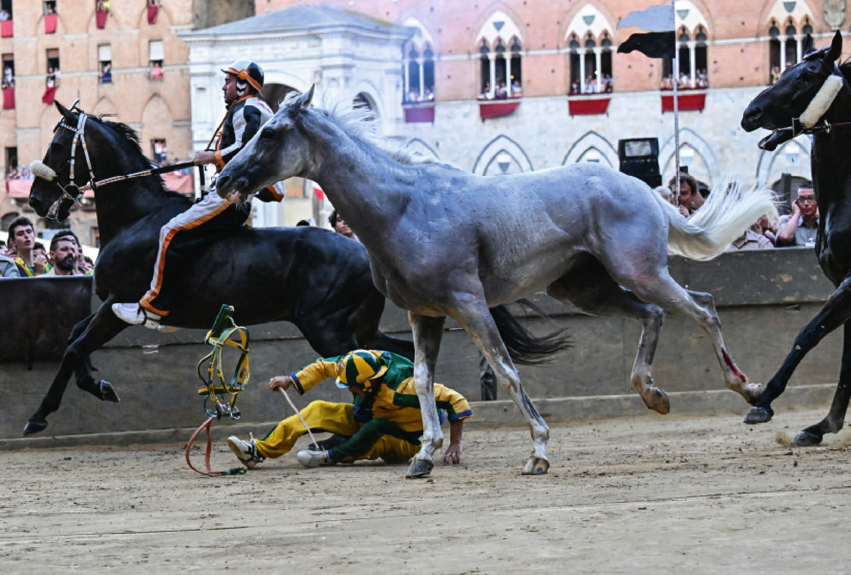 Playbac Presse Digital: journaux jeunesse Le Petit Quotidien, Mon ...