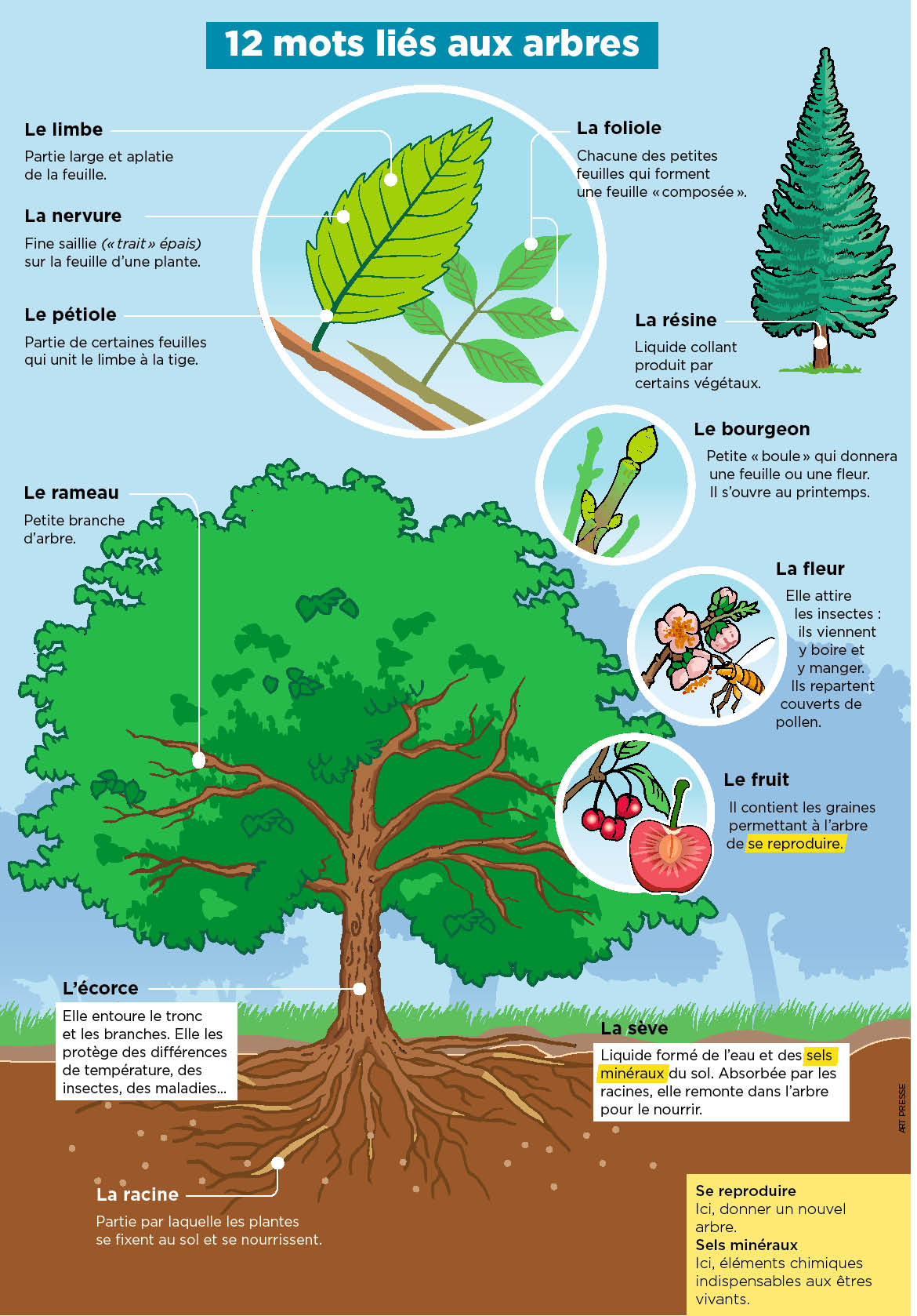Playbac Presse Digital: journaux jeunesse Le Petit Quotidien, Mon ...