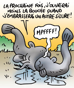 Playbac Presse Digital: journaux jeunesse Le Petit Quotidien, Mon ...