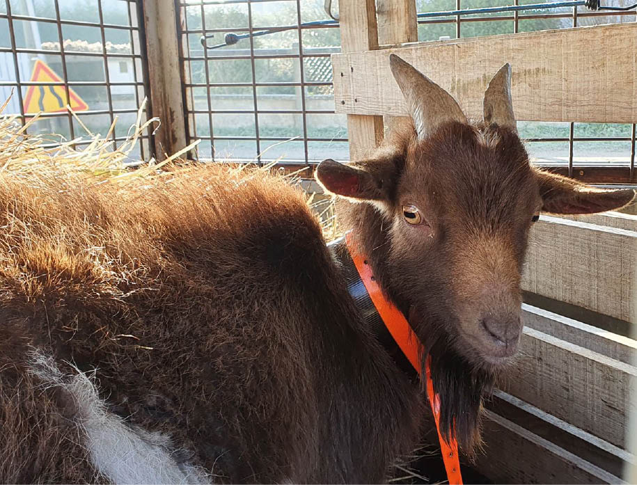 Playbac Presse Digital: journaux jeunesse Le Petit Quotidien, Mon ...