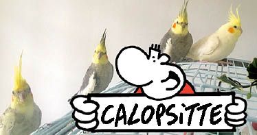 Playbac Presse Digital: journaux jeunesse Le Petit Quotidien, Mon ...