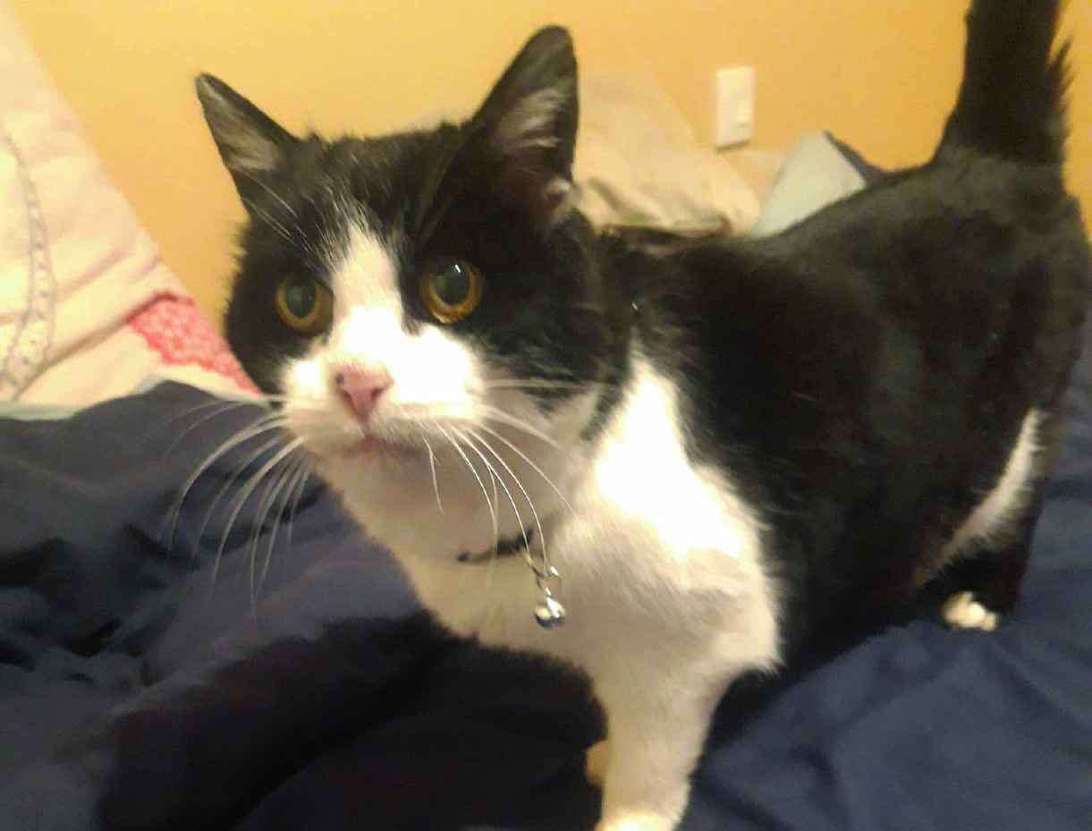 Playbac Presse Digital: journaux jeunesse Le Petit Quotidien, Mon ...