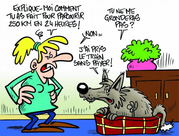 Playbac Presse Digital: journaux jeunesse Le Petit Quotidien, Mon ...