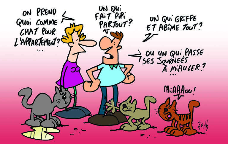 Playbac Presse Digital: journaux jeunesse Le Petit Quotidien, Mon ...