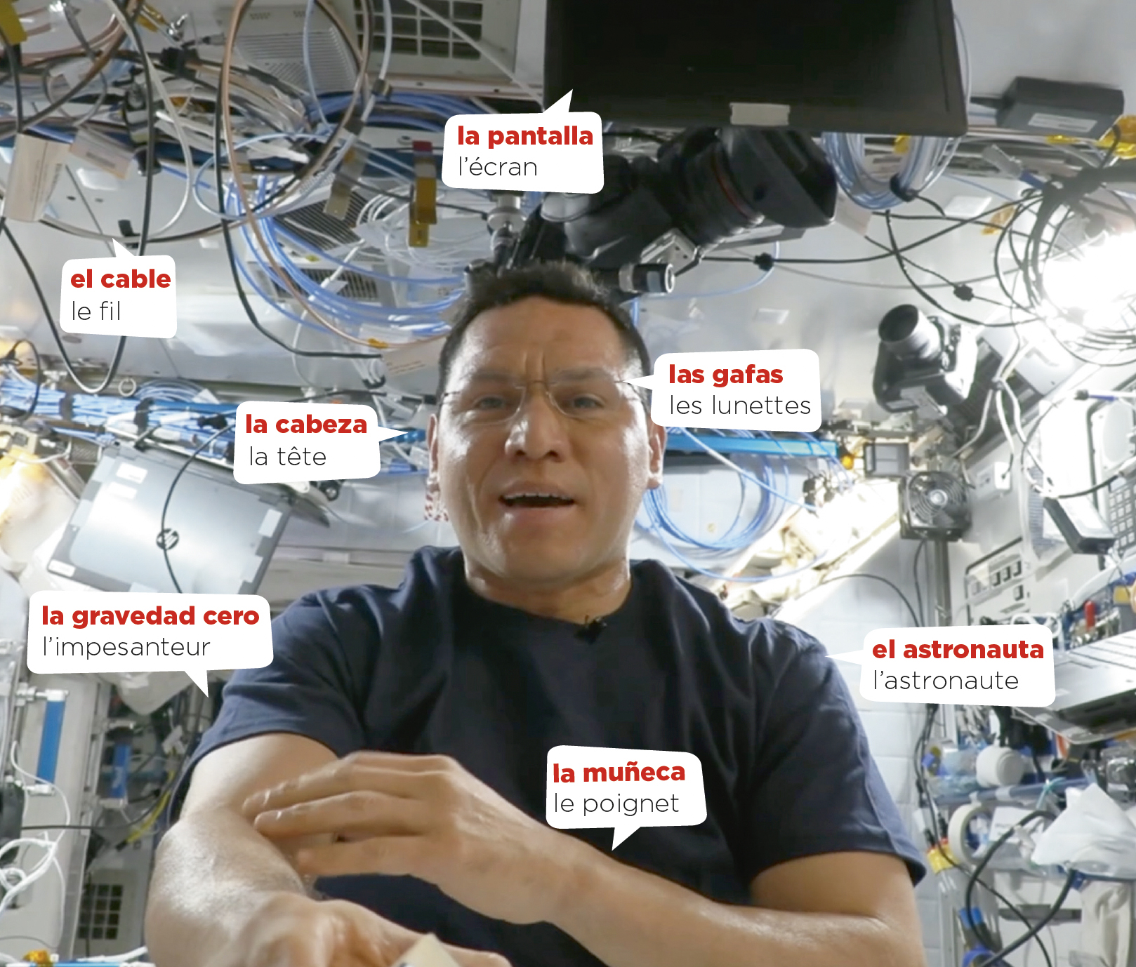 Playbac Presse Digital: journaux jeunesse Le Petit Quotidien, Mon ...