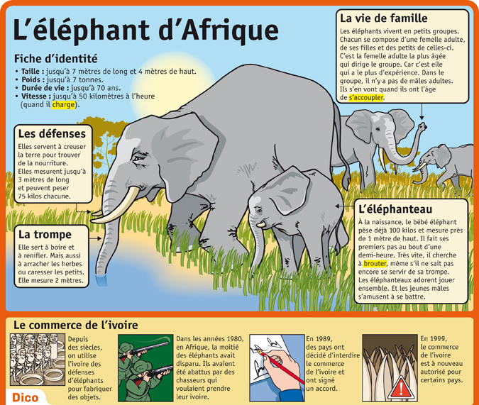 Playbac Presse Digital: journaux jeunesse Le Petit Quotidien, Mon ...