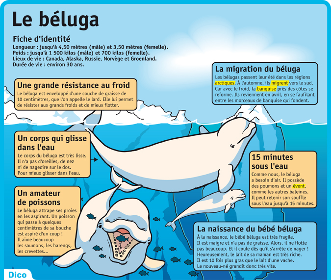 Playbac Presse Digital: journaux jeunesse Le Petit Quotidien, Mon Quotidien, L'actu, L'éco et plus