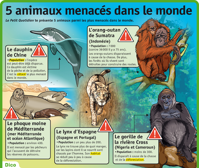 Playbac Presse Digital: journaux jeunesse Le Petit Quotidien, Mon ...