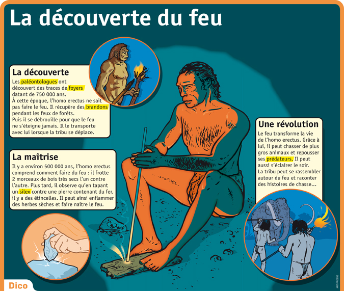Playbac Presse Digital: journaux jeunesse Le Petit Quotidien, Mon ... Playbac Presse Digital: journaux jeunesse Le Petit Quotidien, Mon ...