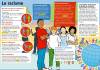 Playbac Presse Digital: journaux jeunesse Le Petit Quotidien, Mon ...