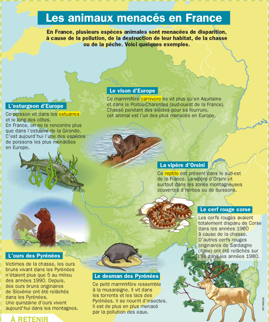 Playbac Presse Digital: journaux jeunesse Le Petit Quotidien, Mon ...