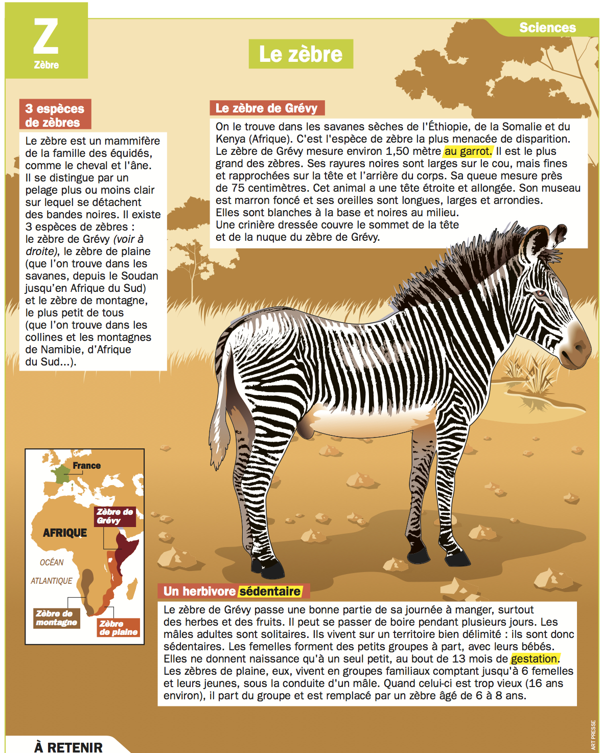 Playbac Presse Digital: journaux jeunesse Le Petit Quotidien, Mon ...